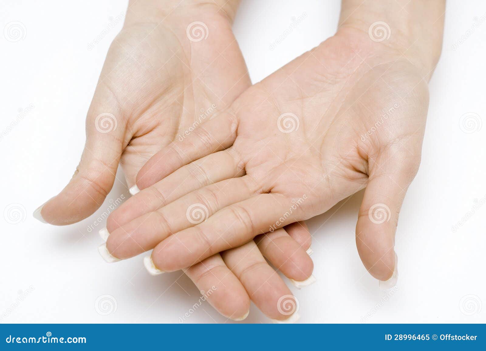 Open Palm stock image. Image of lifestyle, body, female - 28996465