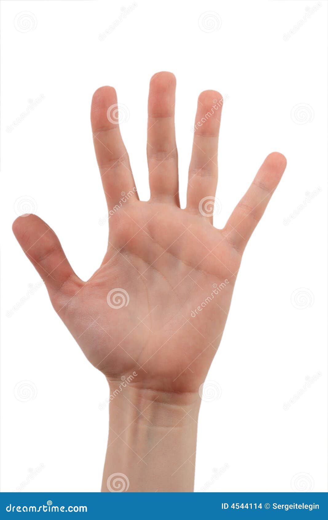 Open palm stock photo. Image of female, isolated, human - 4544114