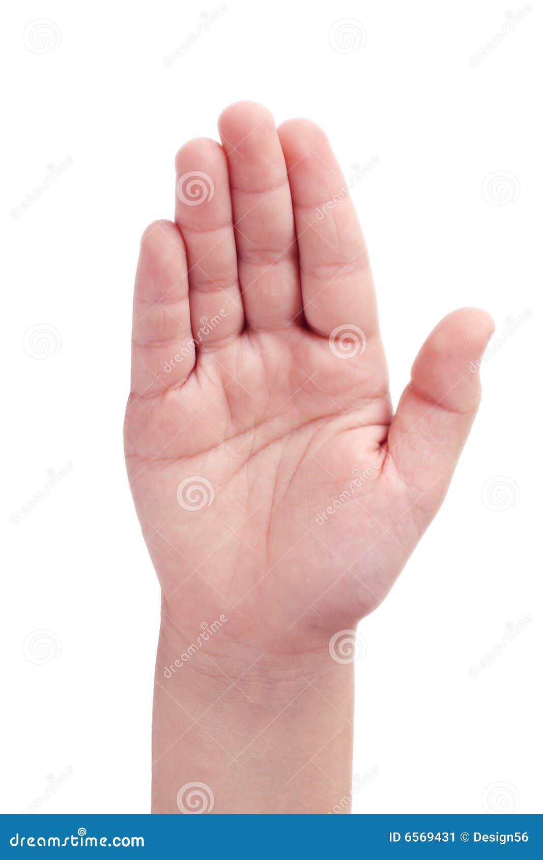 Open palm stock image. Image of cutout, hand, girl, closeup - 6569431