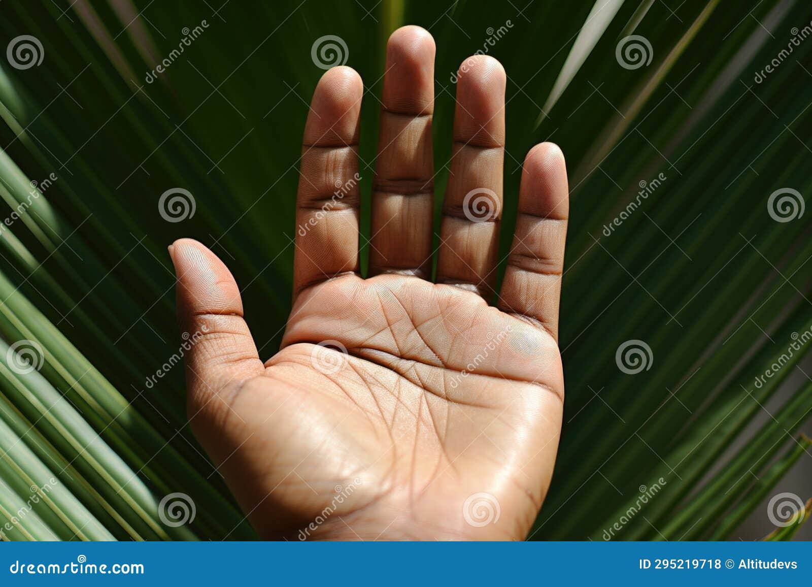 An Open Palm Facing the Camera Stock Photo - Image of open, welcoming ...