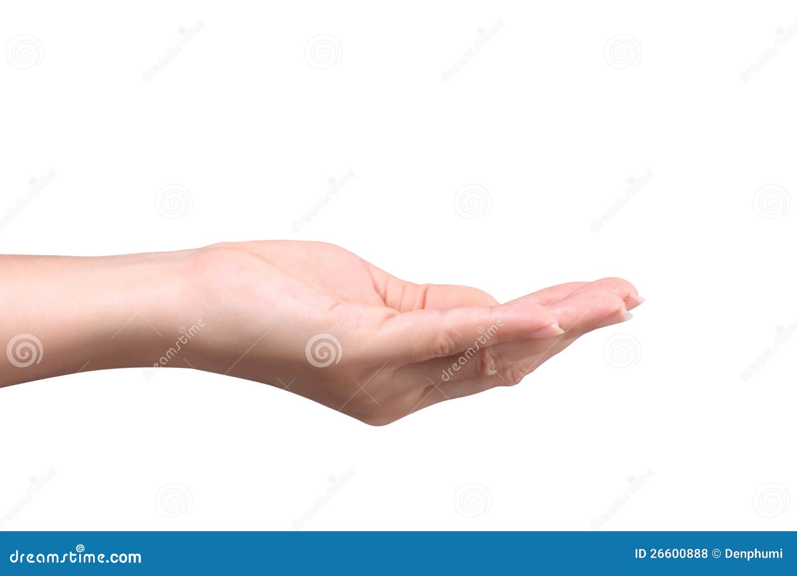 Open palm hand stock photo. Image of isolated, idea, closeup - 26600888