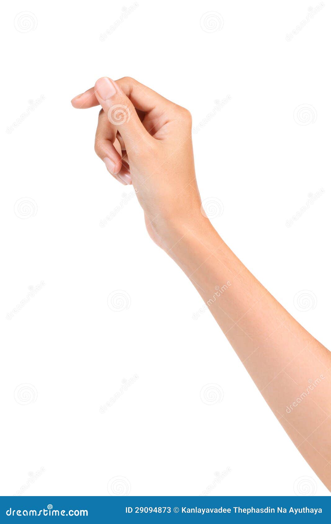 Open palm hand stock image. Image of palm, gesturing - 29094873