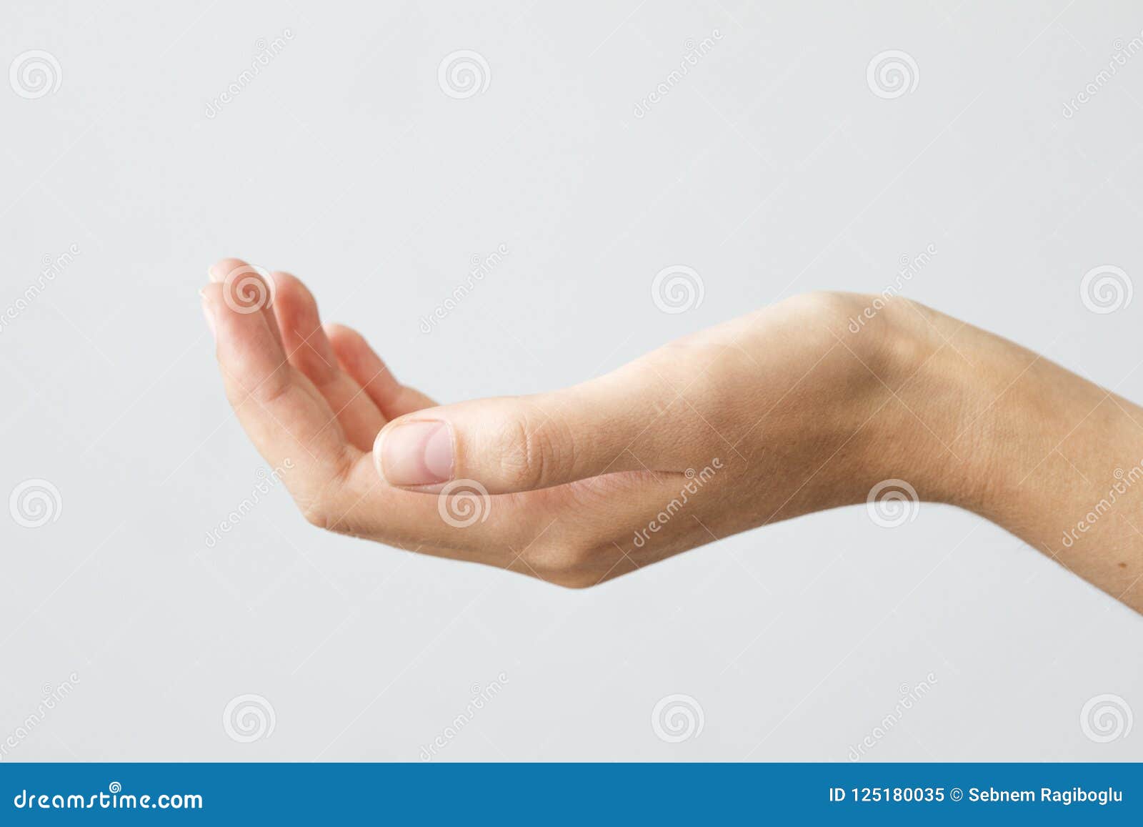 Open Palm Hand Gesture of Female Hand Stock Image - Image of background ...