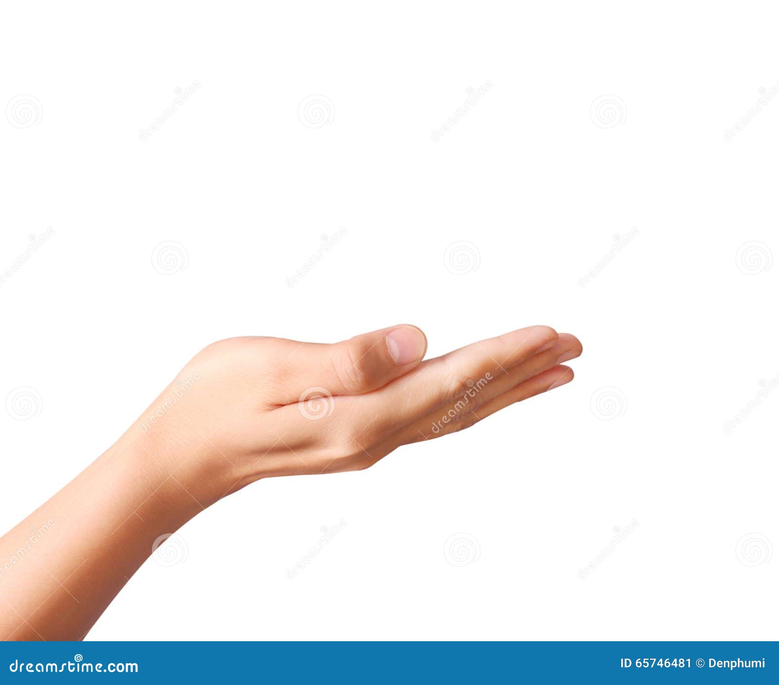 Open palm hand gesture stock image. Image of gesturing - 65746481