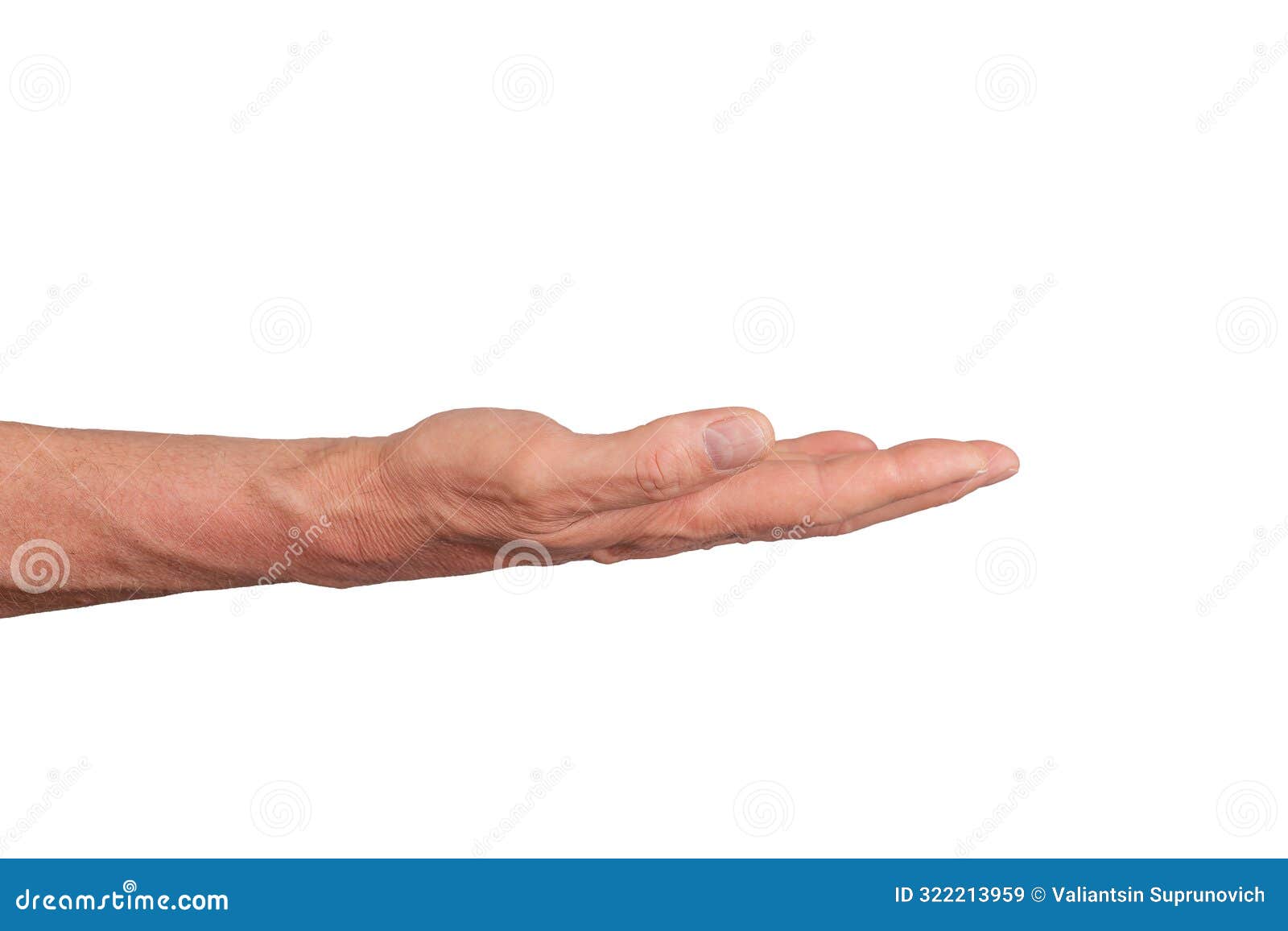 Open Palm Hand Holding or Giving Something, on White Background ...