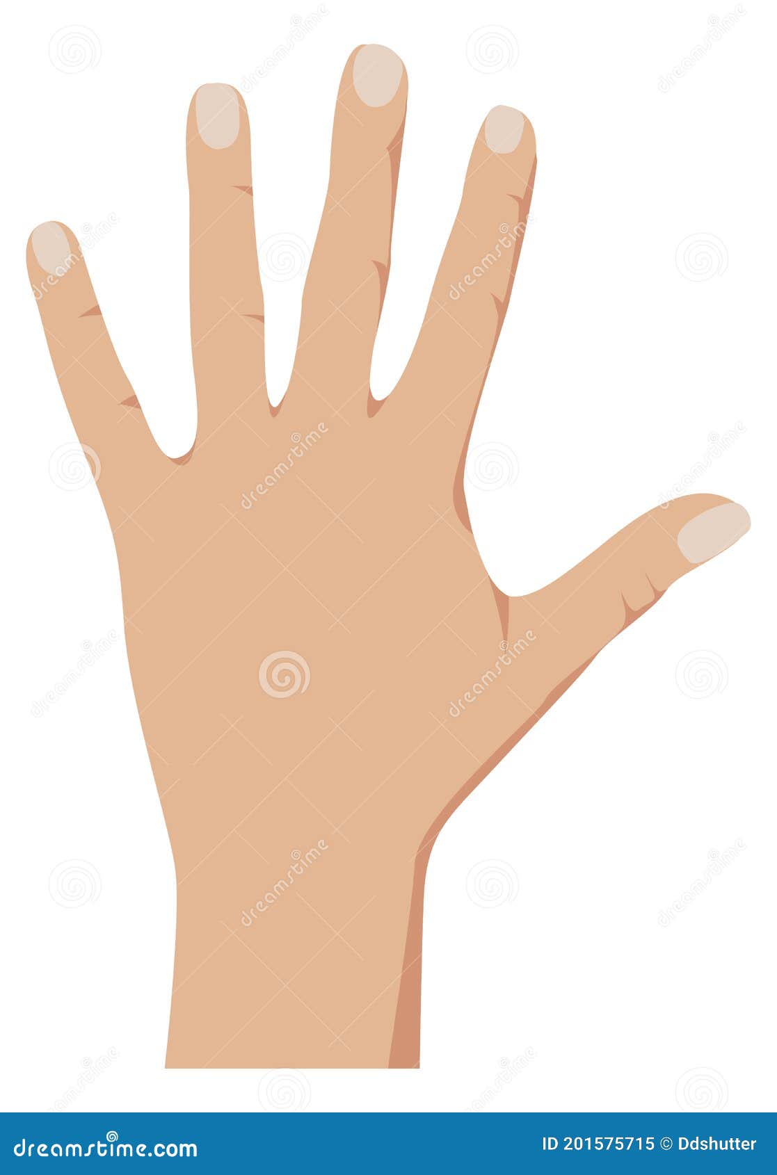 Open Palm Hand Showing Number Five. Vector Illustration of Counting ...