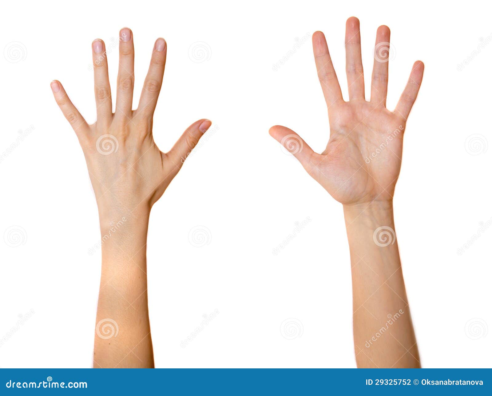 Open palms stock photo. Image of closeup, open, decisive - 29325752