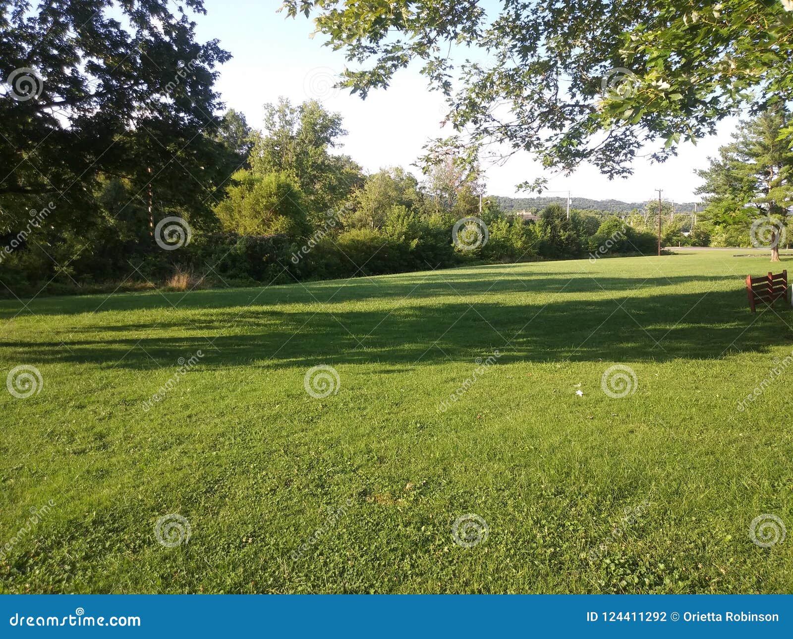 Open Park Space stock photo. Image of open, space, field - 124411292