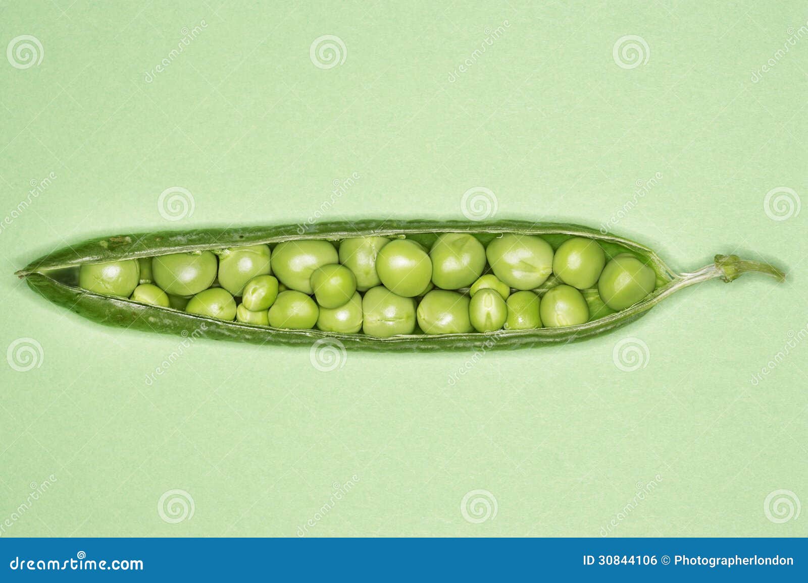 Open Pea Pod Containing Peas Close-up Stock Photo - Image of eating ...
