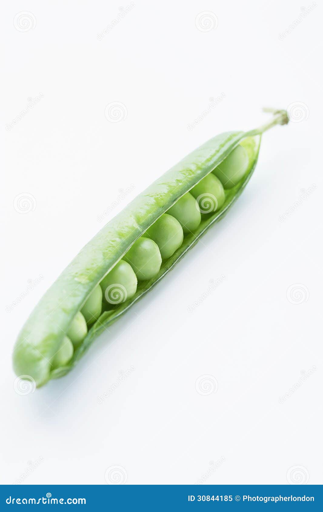 Open Pea Pod Containing Peas Close-up Stock Image - Image of vegetable ...