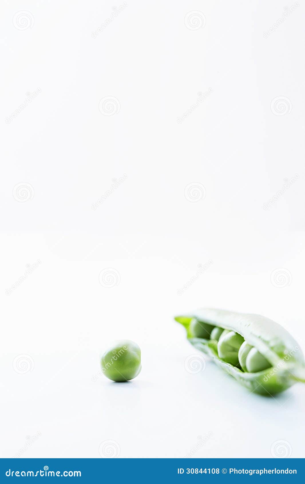 Open Pea Pod Containing Peas and Single Pea Close-up Stock Photo ...