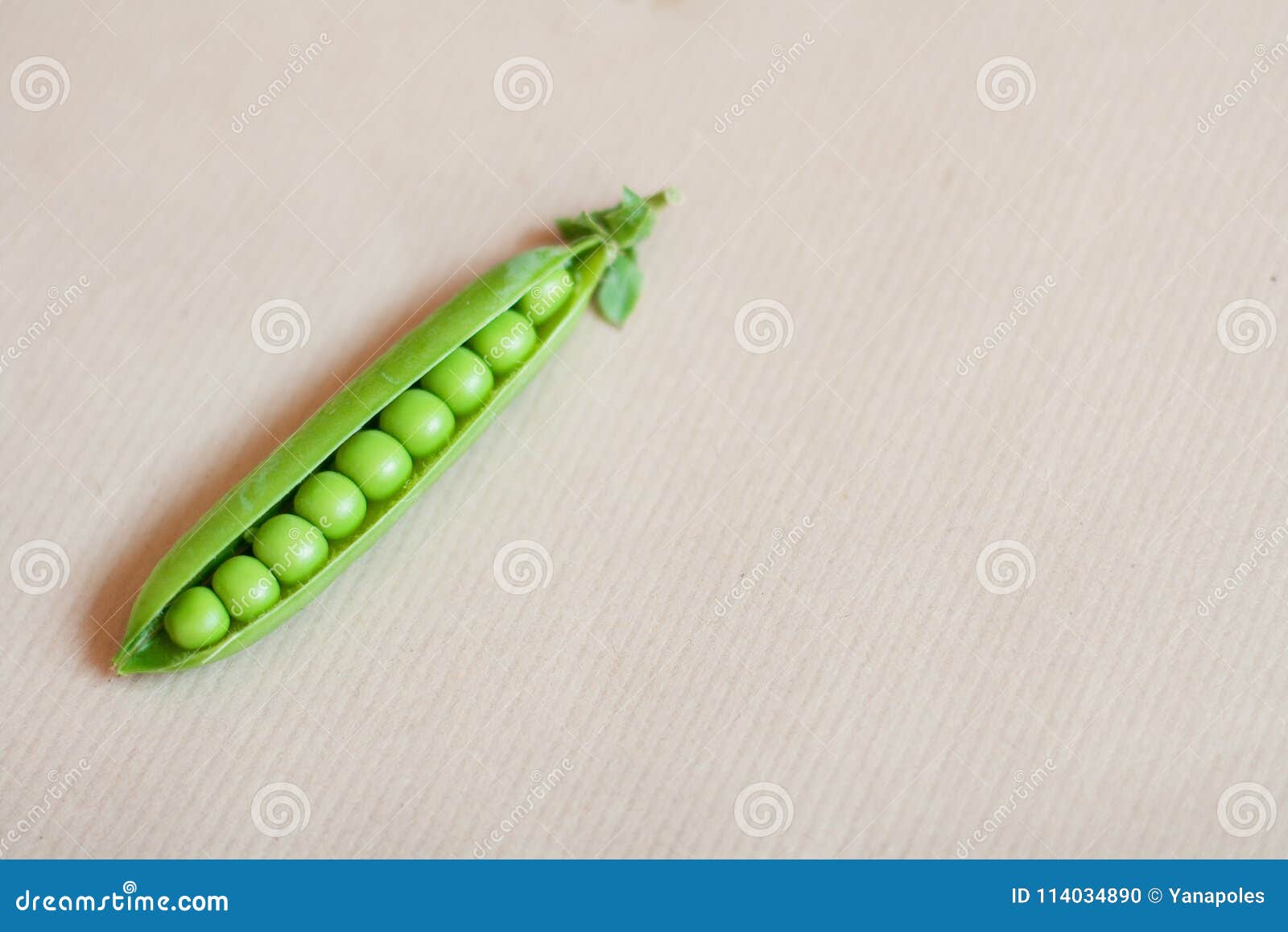 Open pea pod stock photo. Image of organic, fresh, nutrition - 114034890