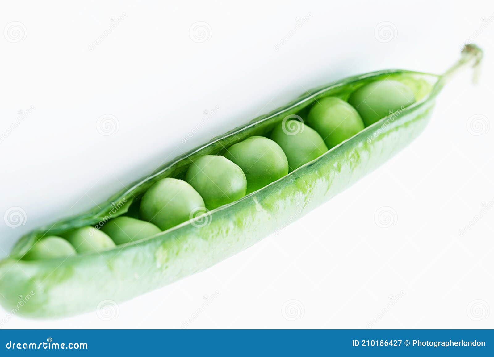 Open Pea Pod with Peas Inside Stock Image - Image of nature, objects ...