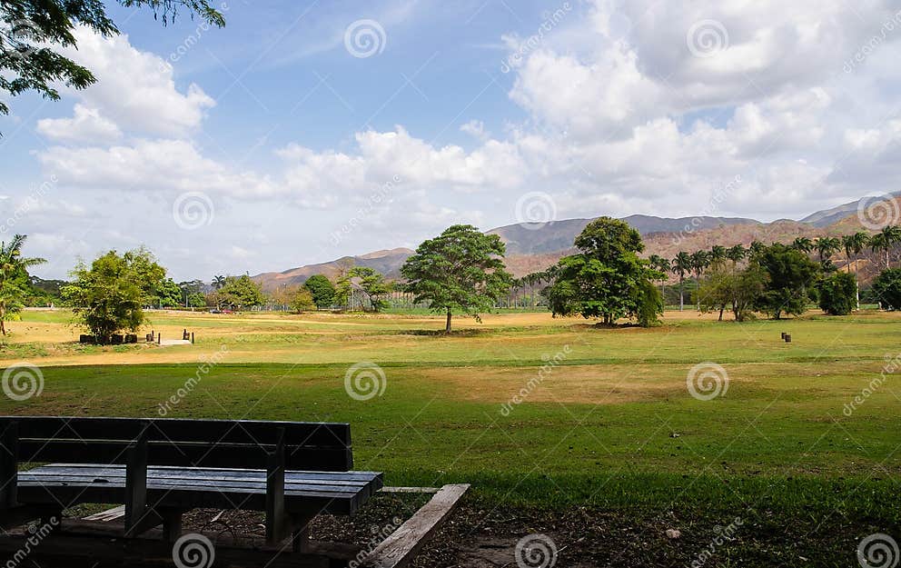 An open and peaceful field stock image. Image of shadow - 83338793