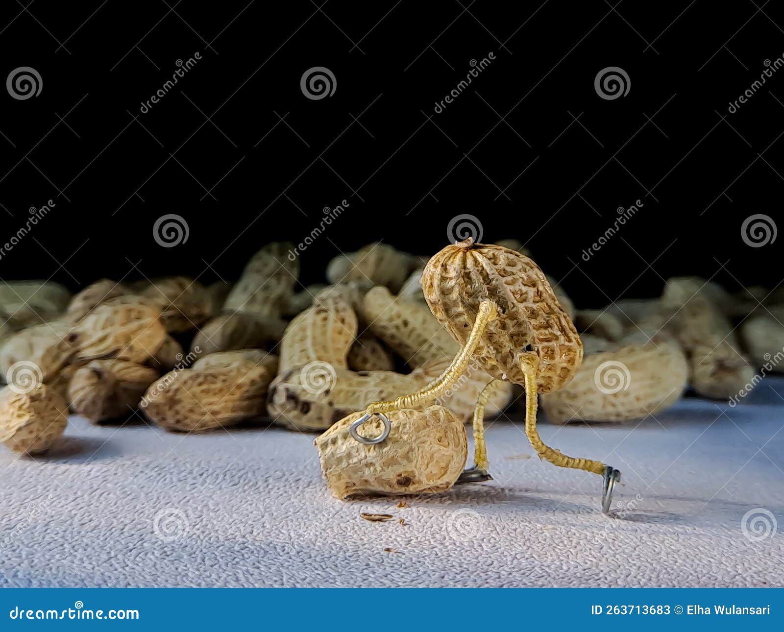 Open Peanuts Shot Macro in the Studio, Concept of a Peanut Scarecrow on ...