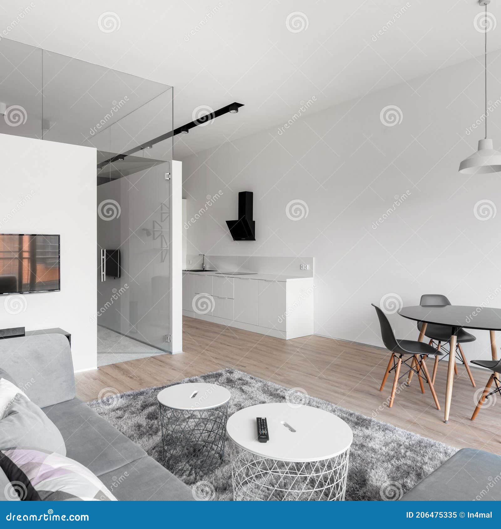 Open plan apartment stock image. Image of cushion, decor - 206475335