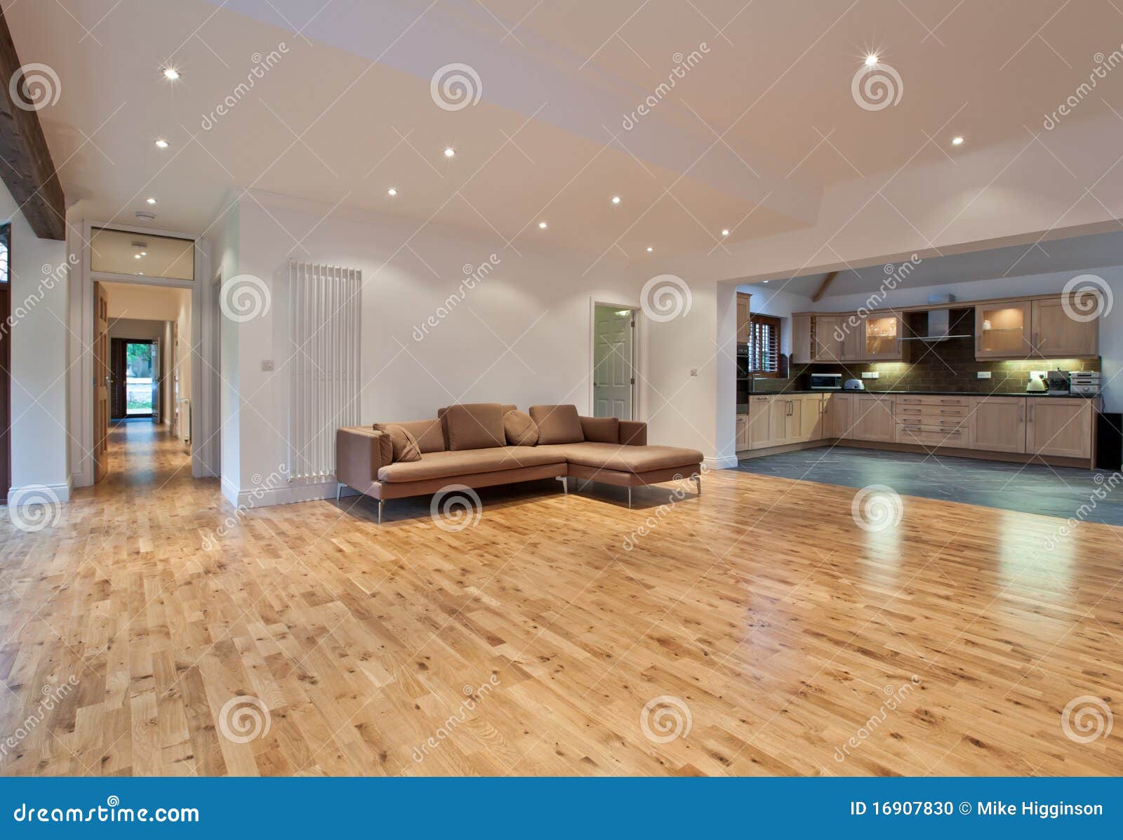 Open plan living room stock photo. Image of floor, home - 16907830
