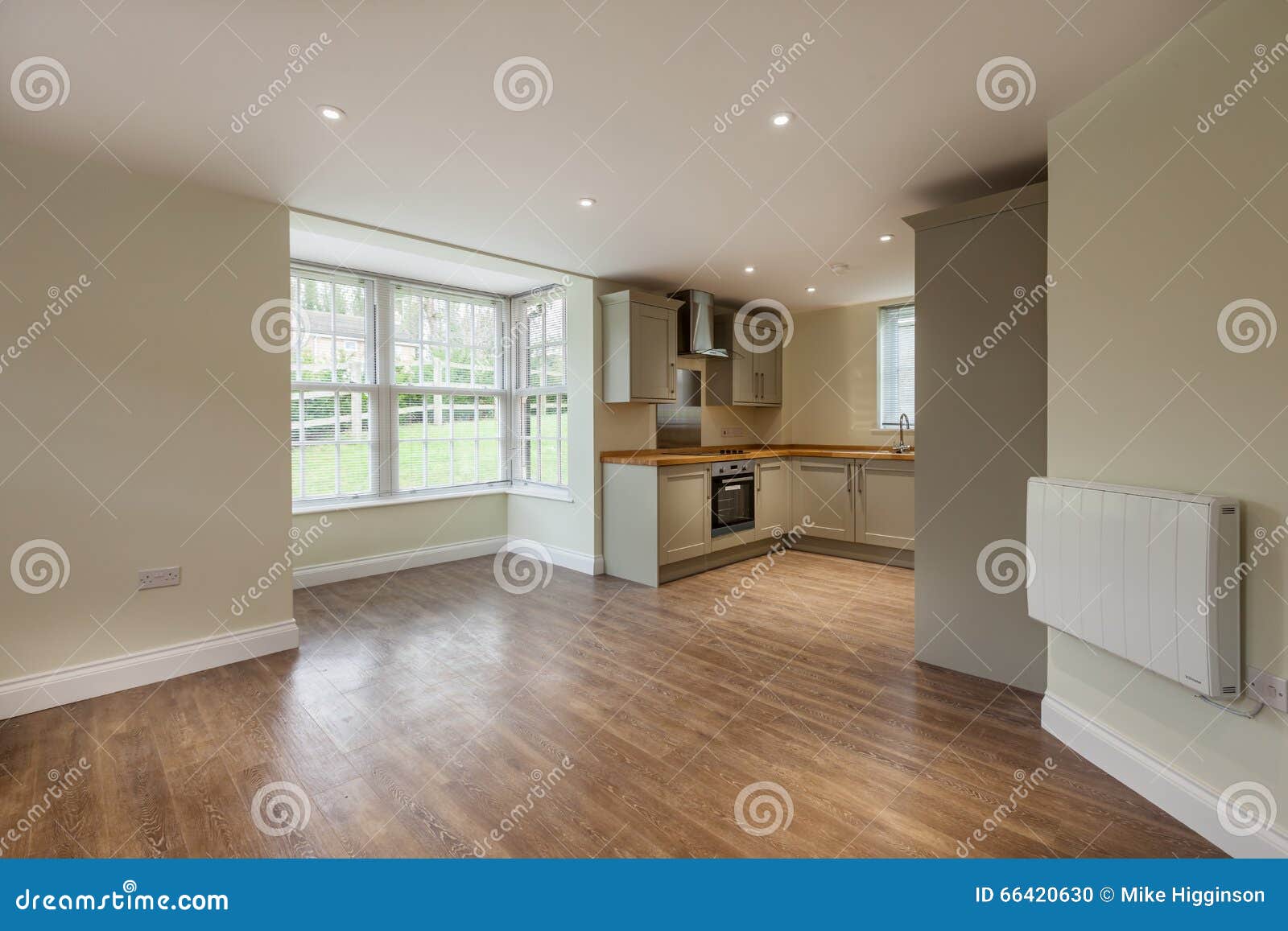 Open Plan Reception room stock photo. Image of cupboard - 66420630