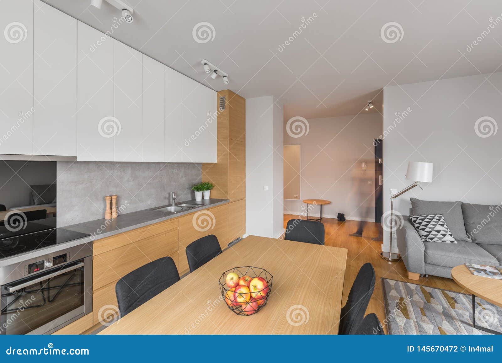 Open plan studio apartment stock photo. Image of kitchen - 145670472