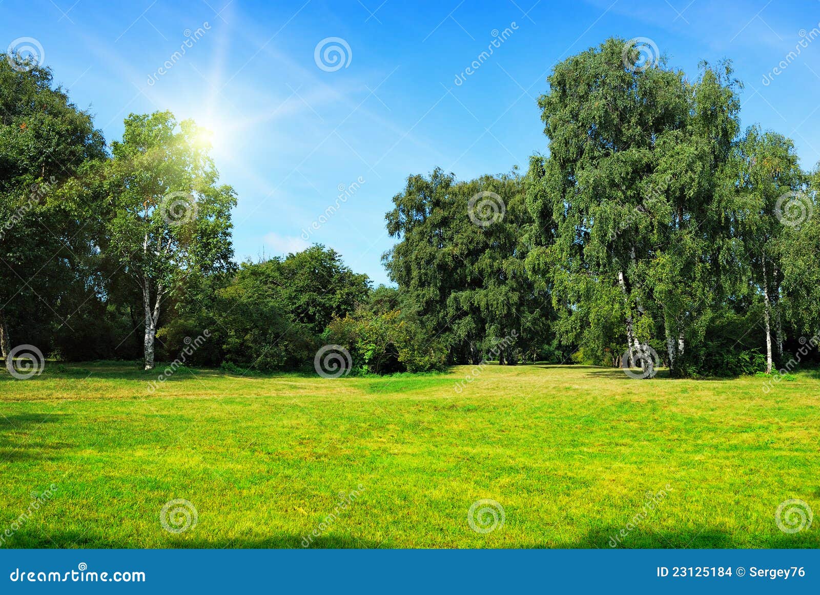 Open Plek Met Groene Bomen En Zon Stock Foto - Image of groen, zonnig ...