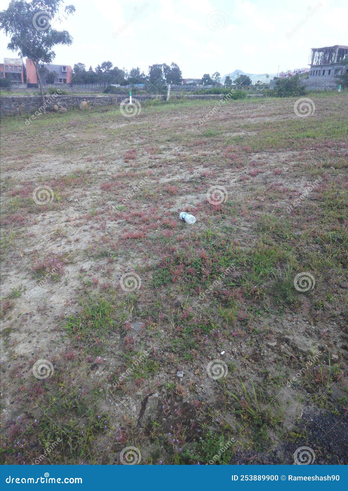 This Image is of an Open Plot or Land with with Grass. Stock Photo ...