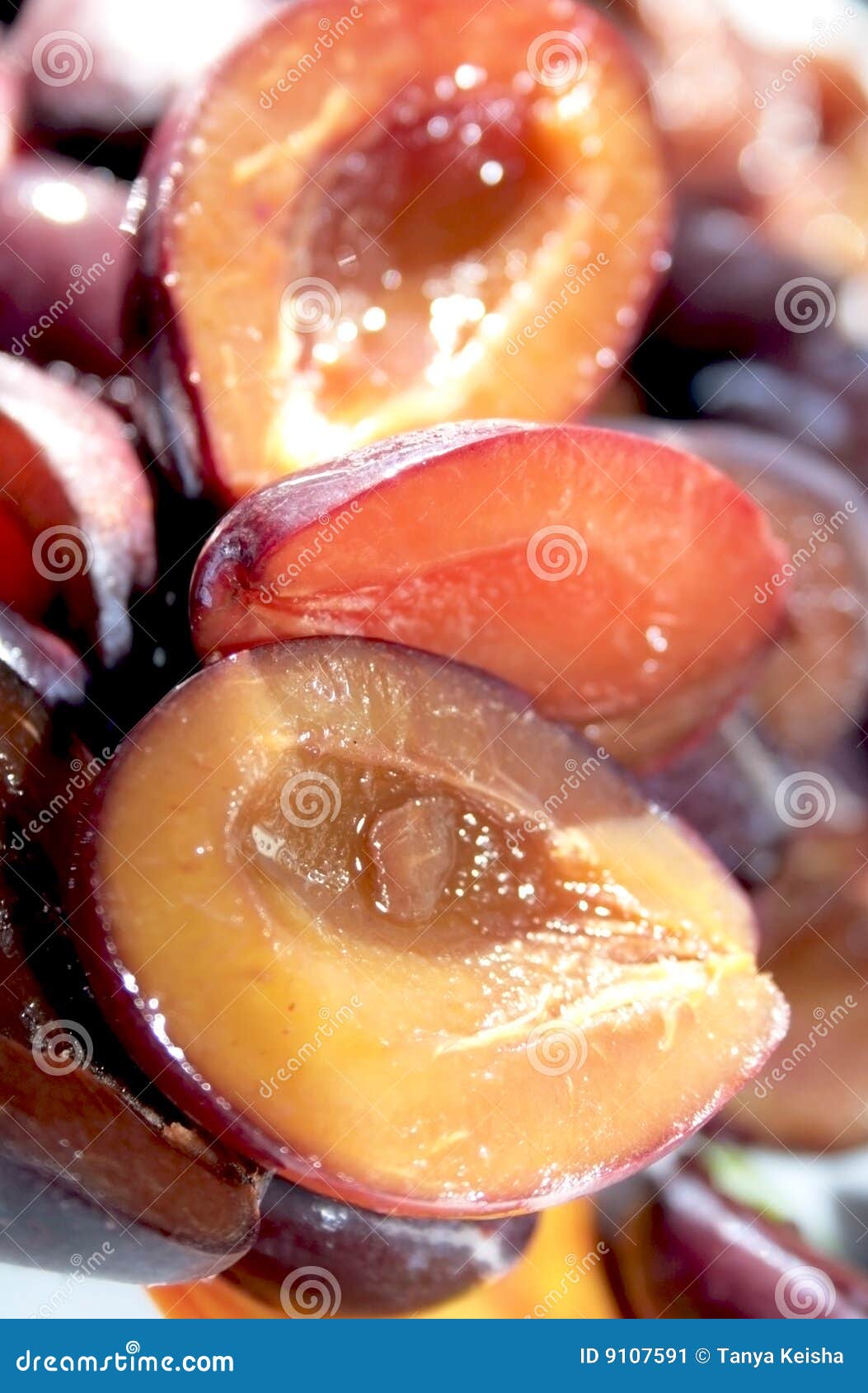 Open plum stock image. Image of vitamin, dark, slice, ripe - 9107591