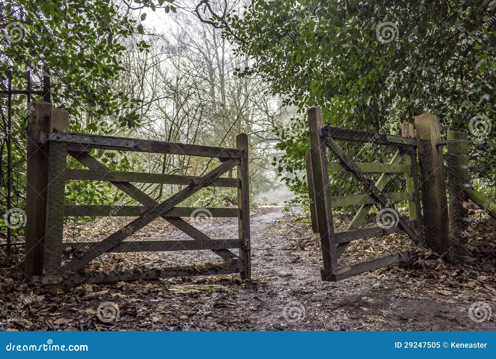 Open Poort stock afbeelding. Image of optimistisch, aspiratie - 29247505