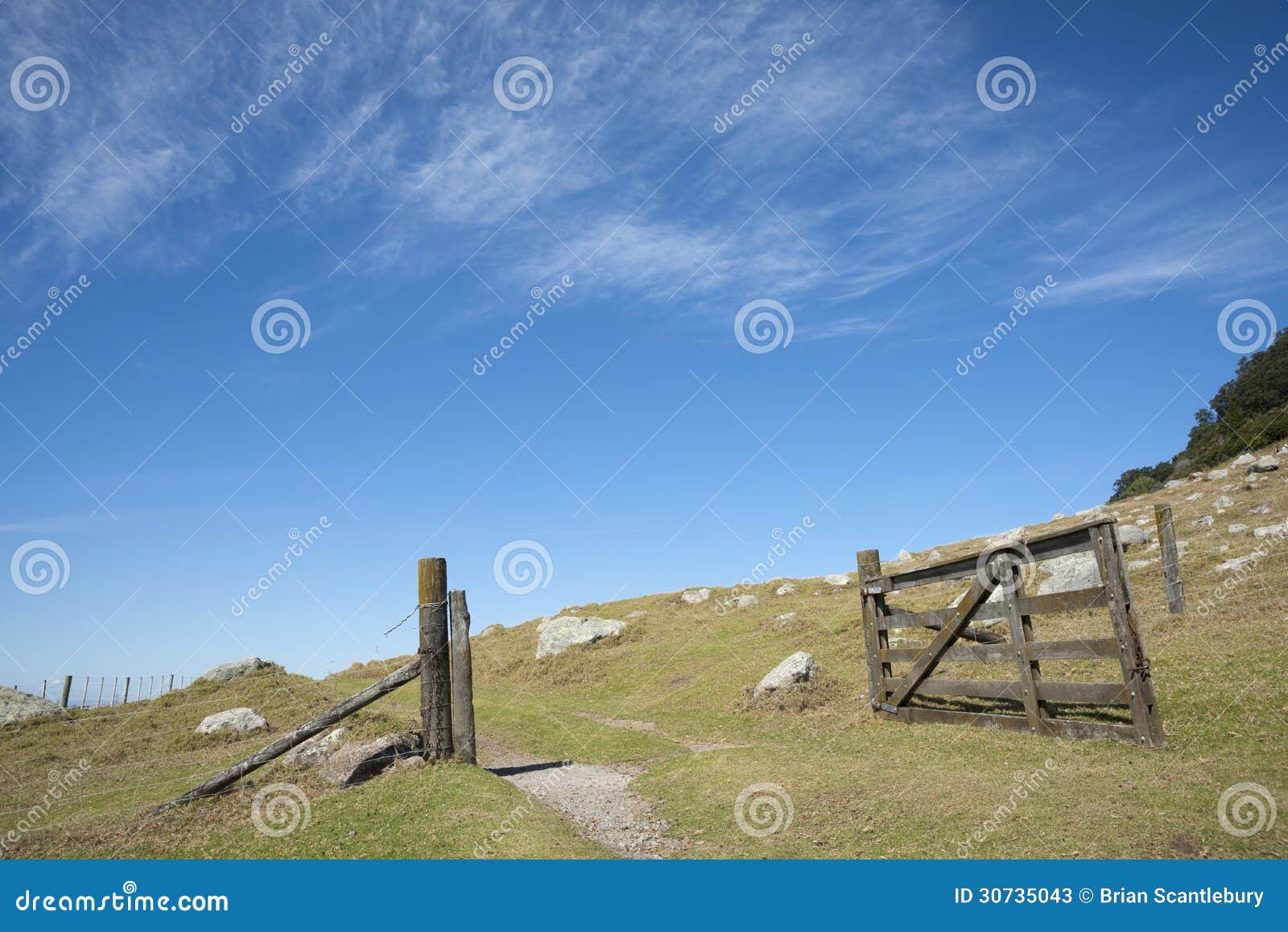 Open poort. stock afbeelding. Image of landelijk, groen - 30735043