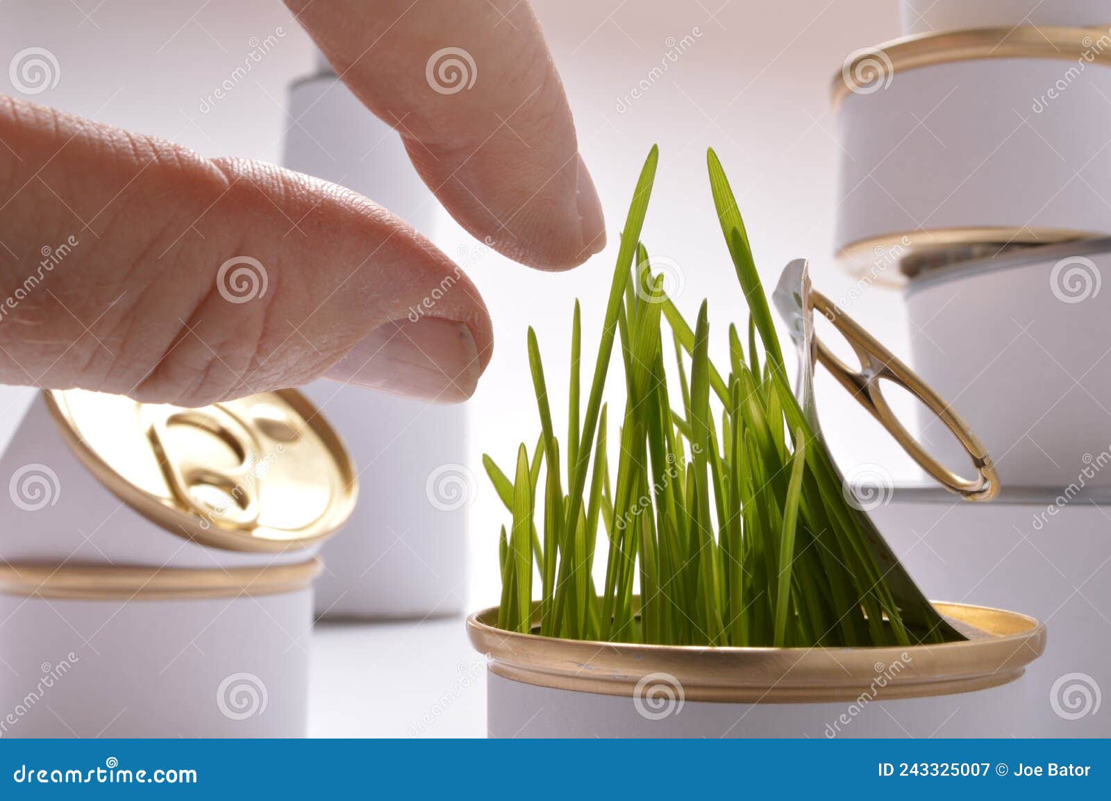 Fingers Reaching for a Ring Pull Can of Wheatgrass Stock Image - Image ...