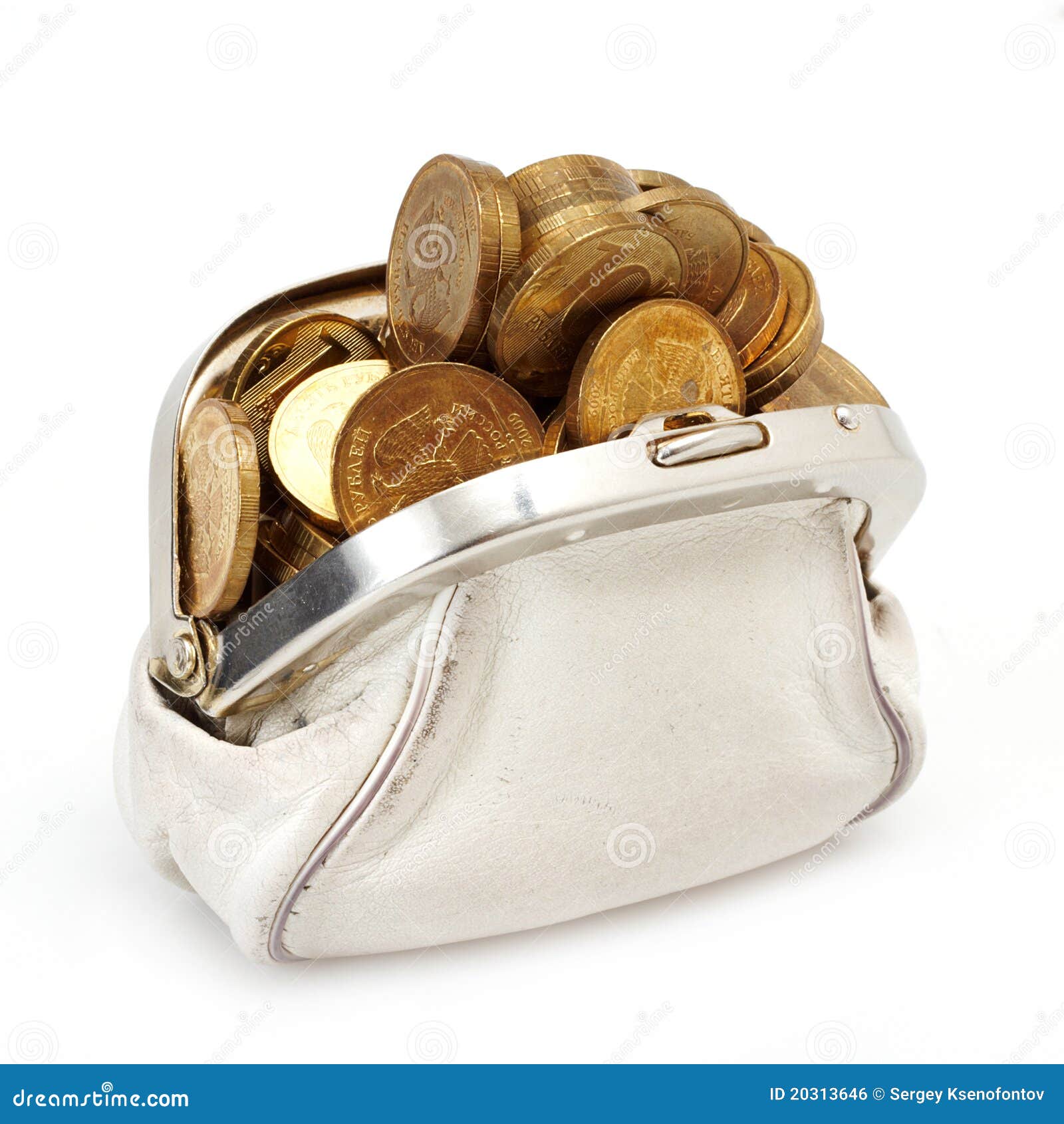 Open purse with gold coins stock photo. Image of accessories - 20313646