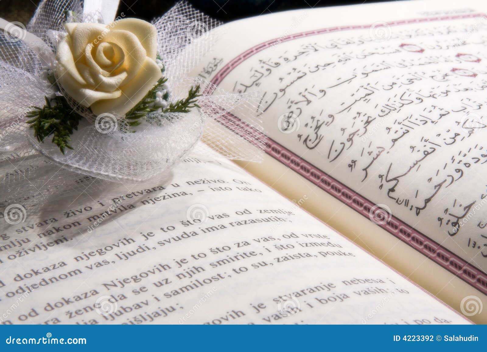 Open Quran stock photo. Image of islam, prayer, revealation - 4223392