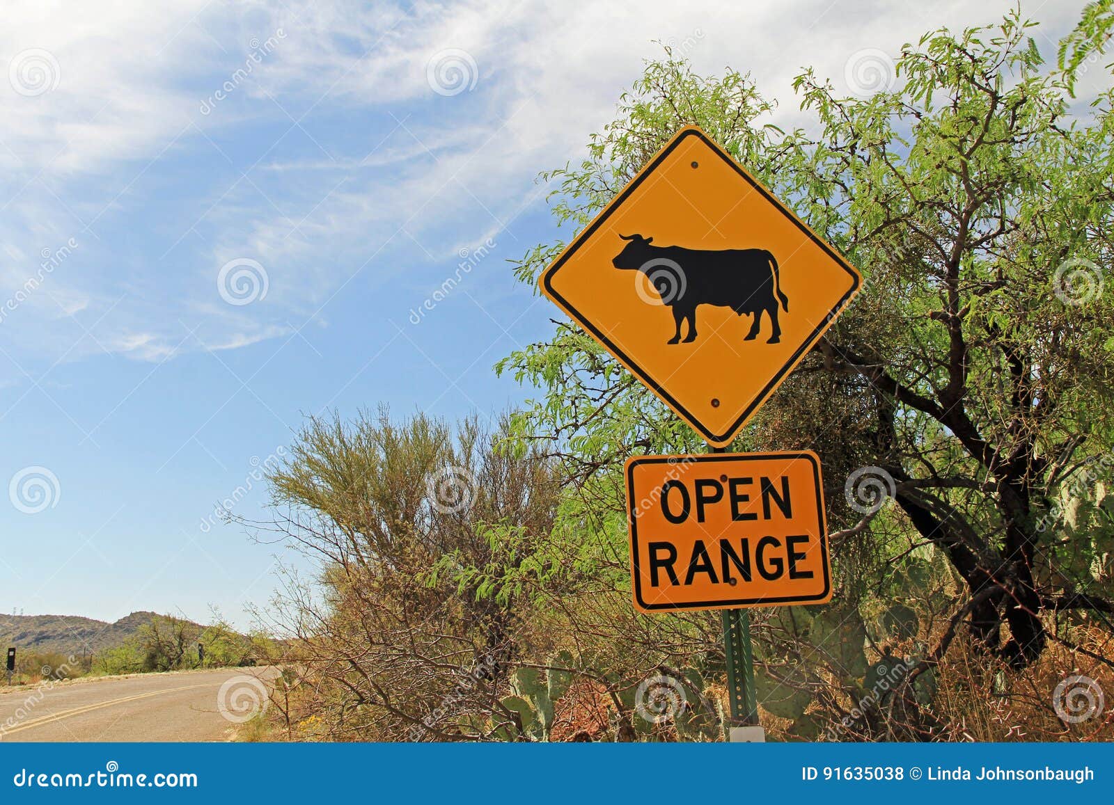 Open Range Cattle Crossing Warning in Arizona Stock Photo - Image of ...