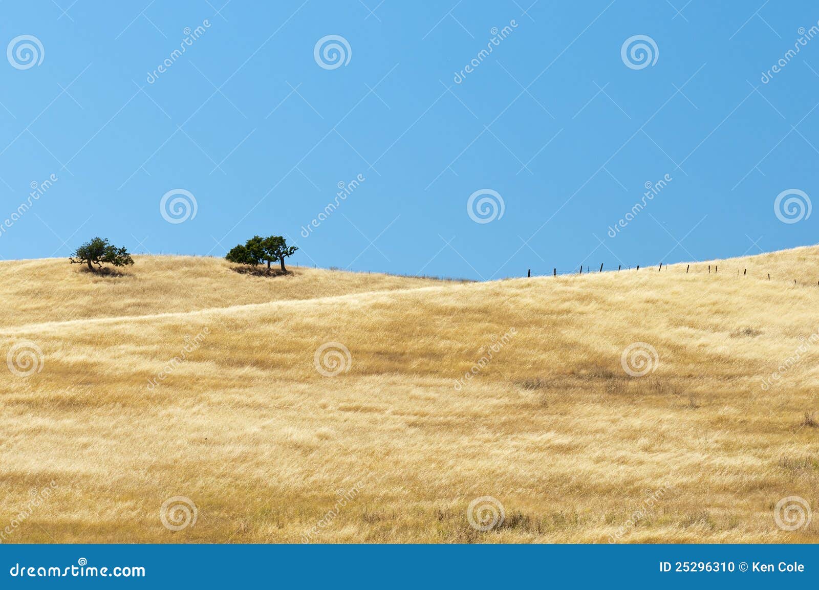 Open range grassy hillside stock photo. Image of western - 25296310