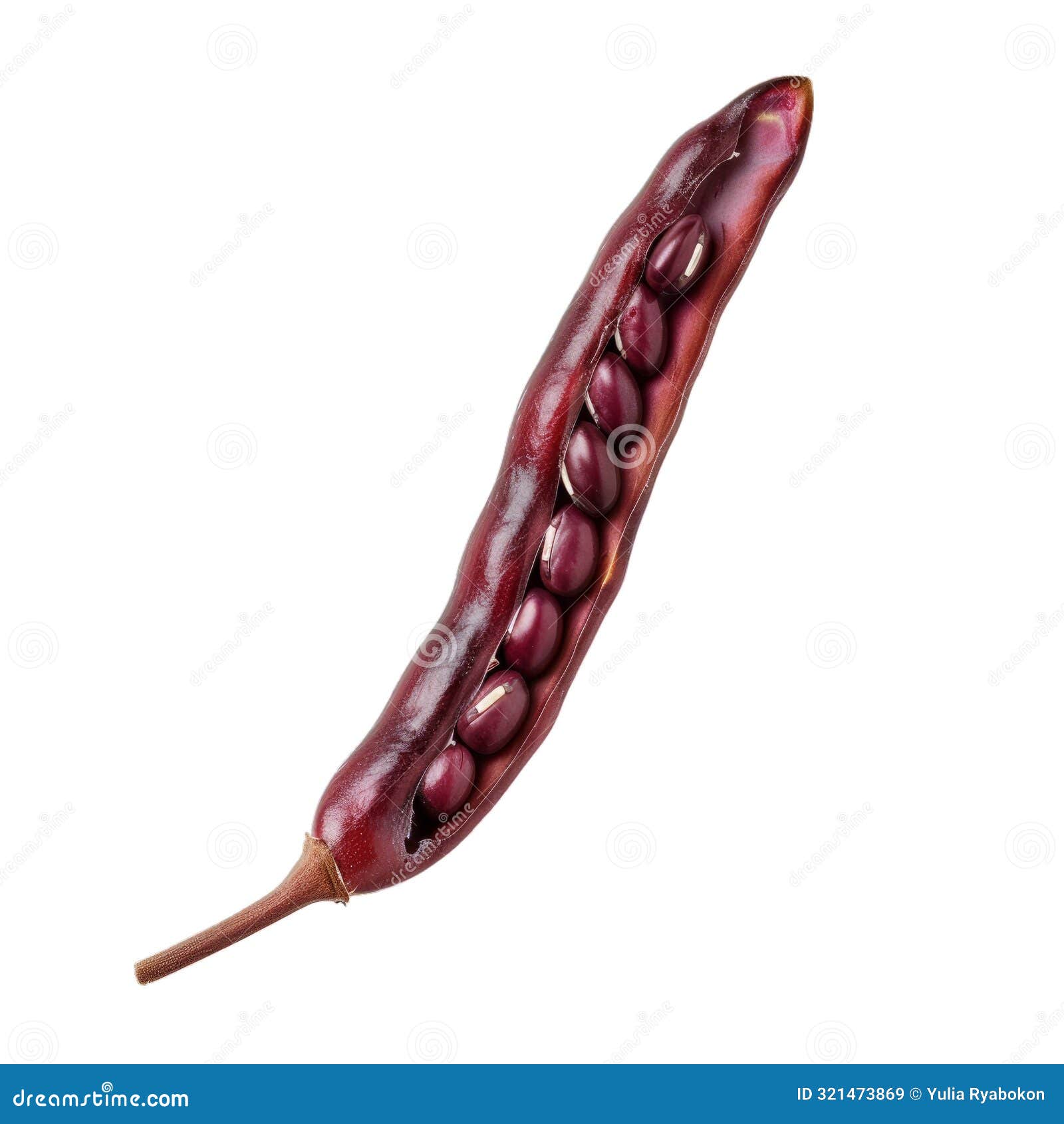 Open Red Bean Pod Isolated on Transparent Background Stock Image ...