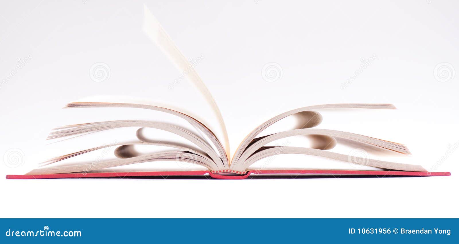 Open red book stock photo. Image of read, learning, information - 10631956