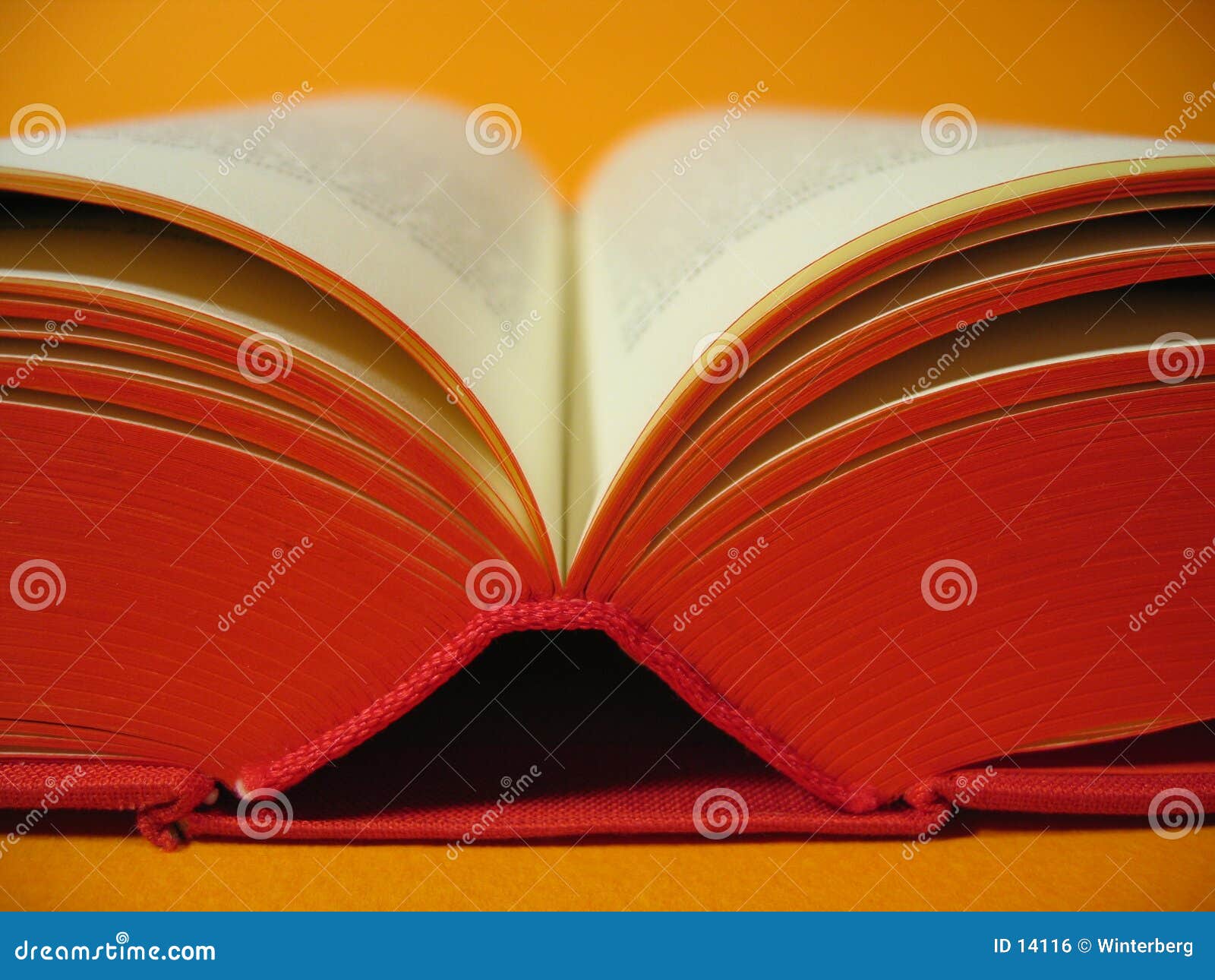 Open Red Book Royalty Free Stock Image - Image: 14116