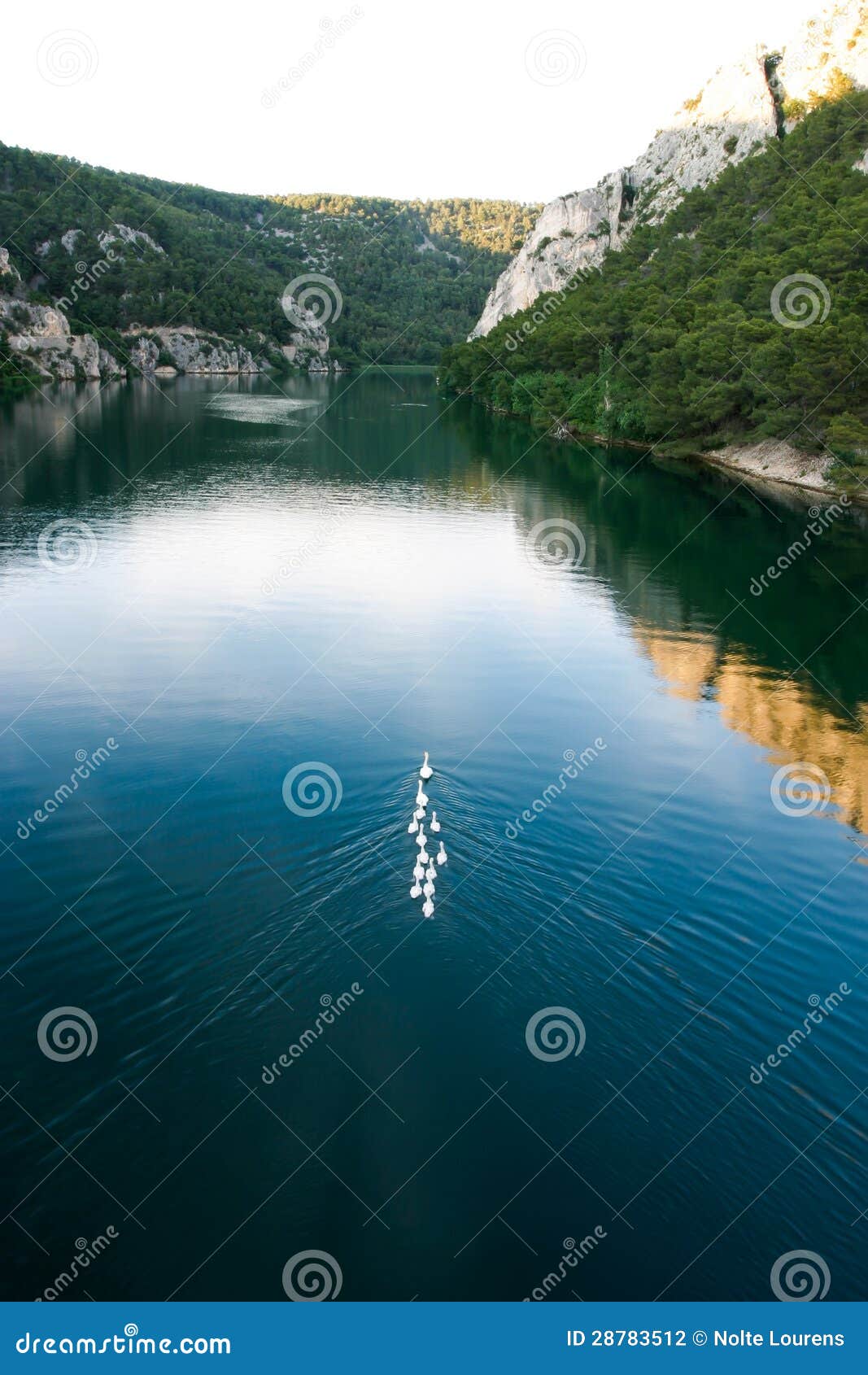 Open river stock photo. Image of children, lined, meat - 28783512