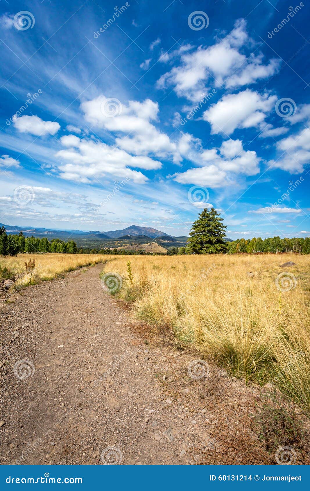 Open Road stock photo. Image of amazing, street, bottleneck - 60131214