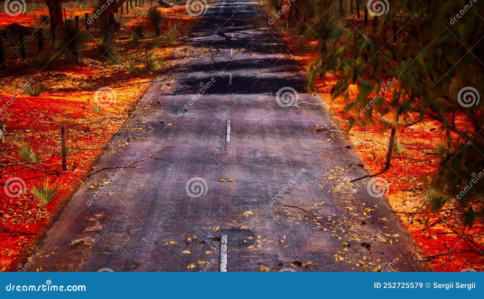 Open Road in Australia with Bush Trees Stock Video - Video of moving ...