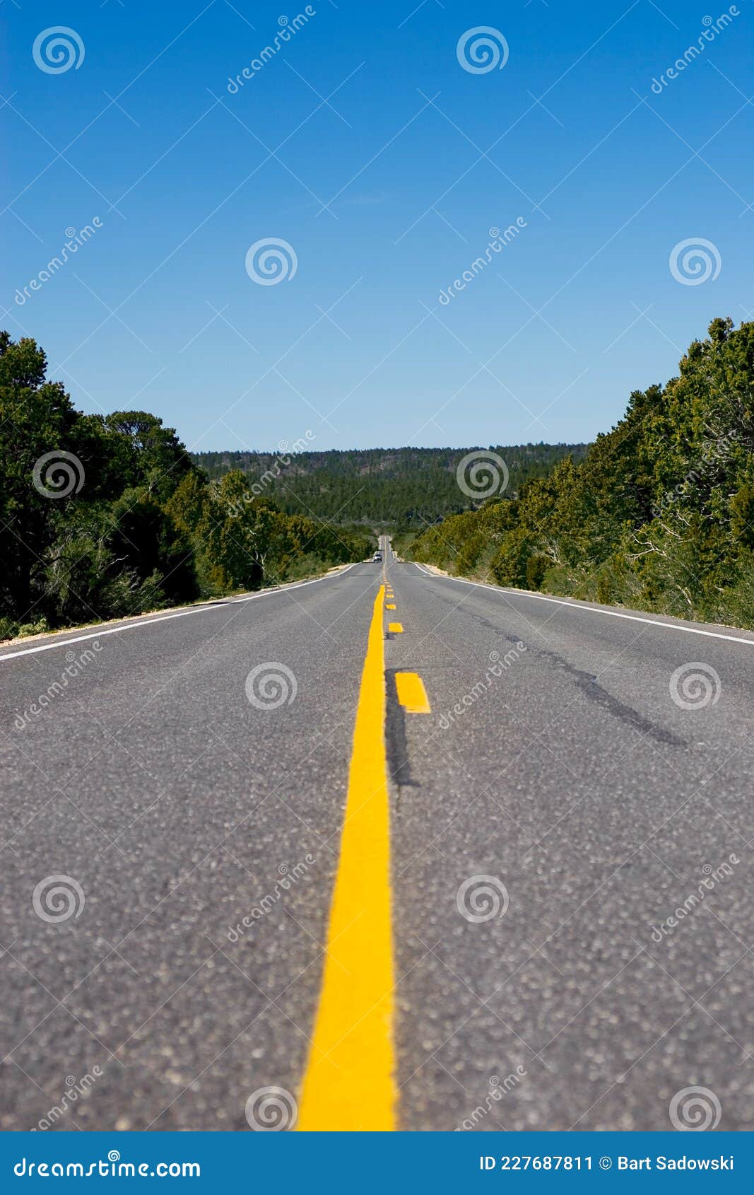 Open Road Low Angle View with Blue Sky Stock Image - Image of wooded ...
