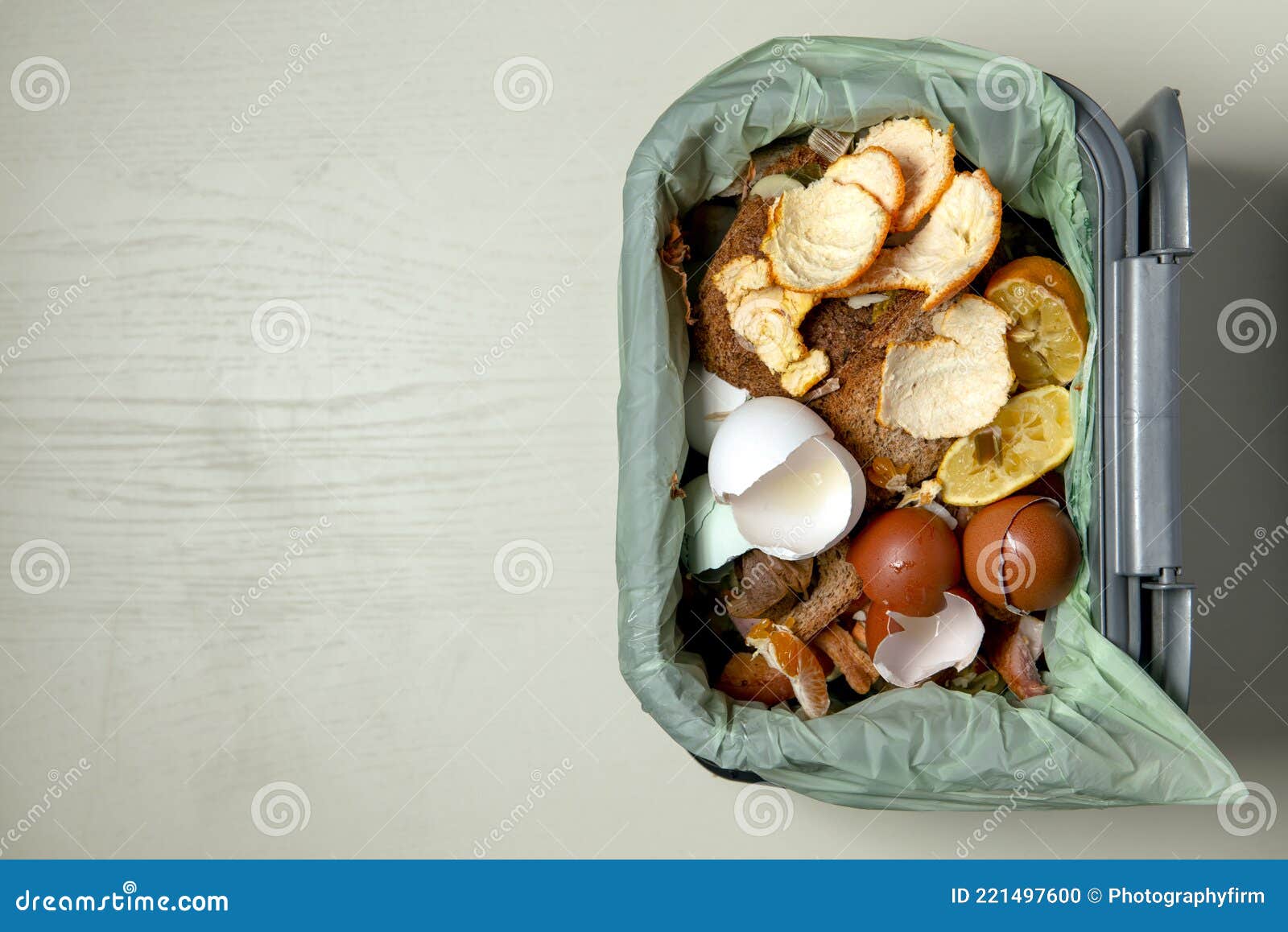 Open rubbish bin stock photo. Image of compostable, shell - 221497600