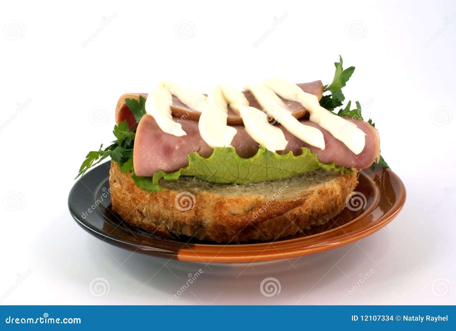 Open sandwich stock photo. Image of gourmet, green, leaf - 12107334