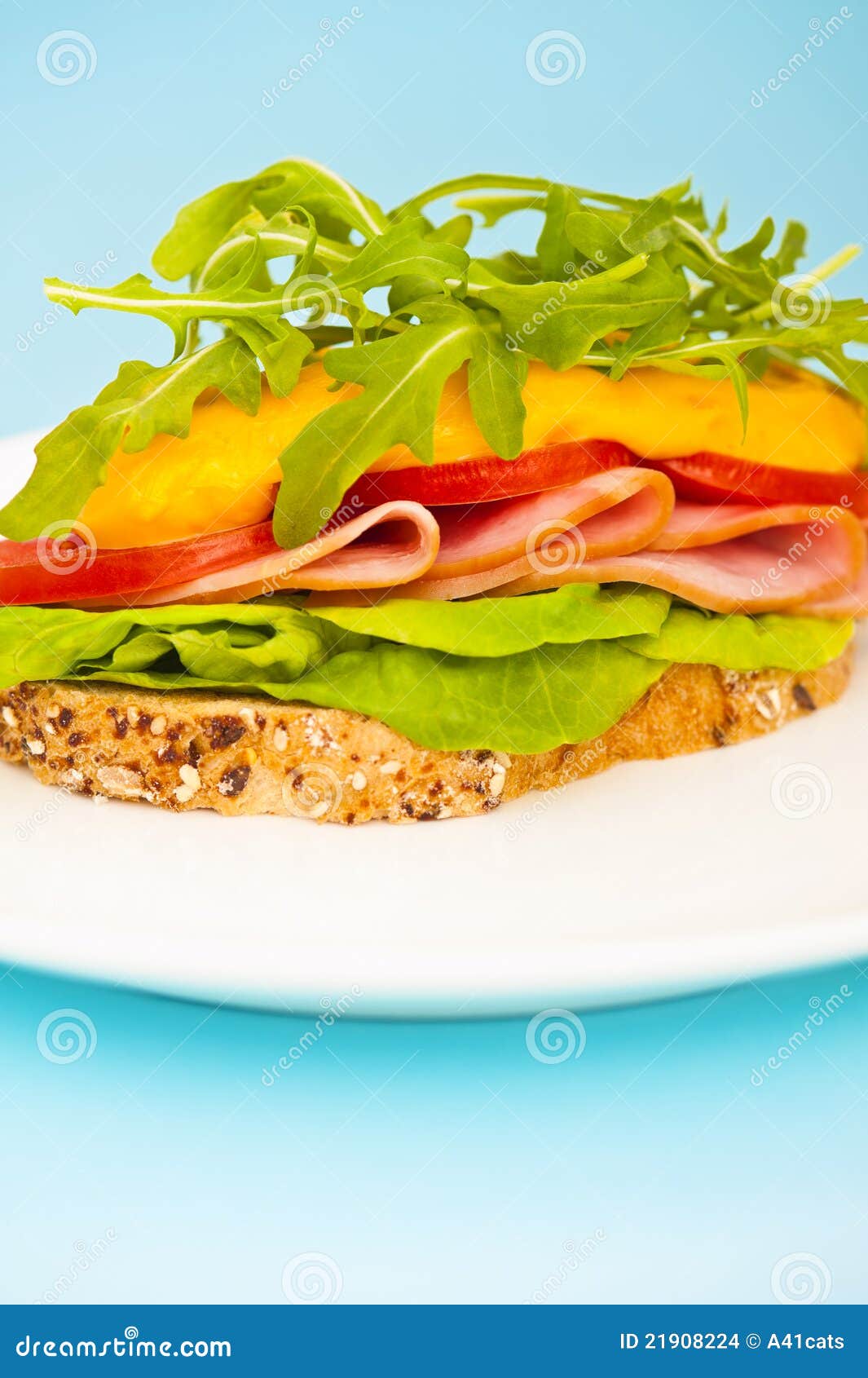 Open Sandwich with Melted Cheese Stock Photo - Image of lettuce, open ...