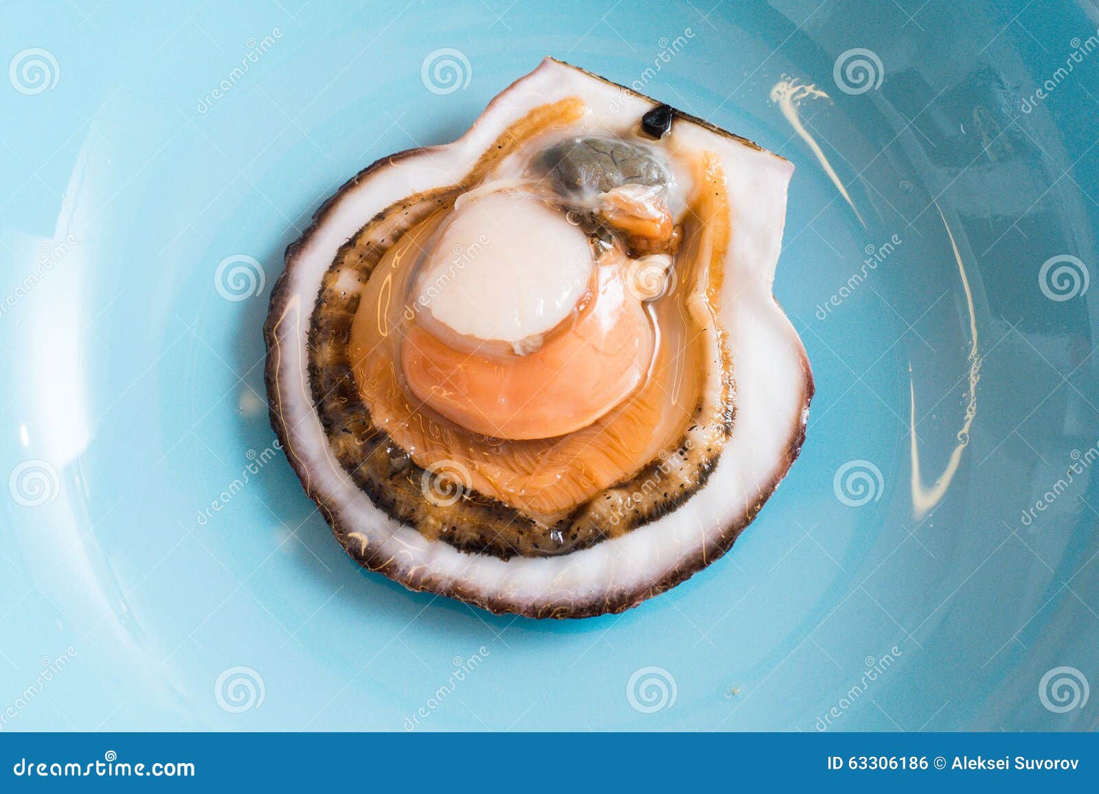 Open scallop shell stock photo. Image of fish, blue, dietary - 63306186