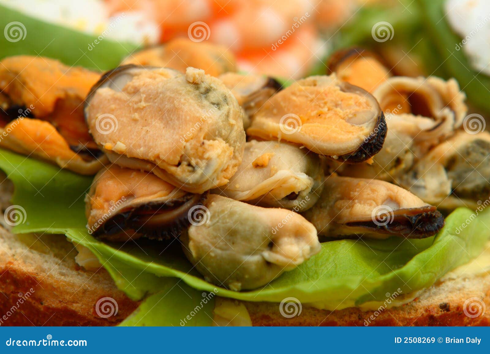 Open seafood sandwich stock image. Image of food, bread - 2508269