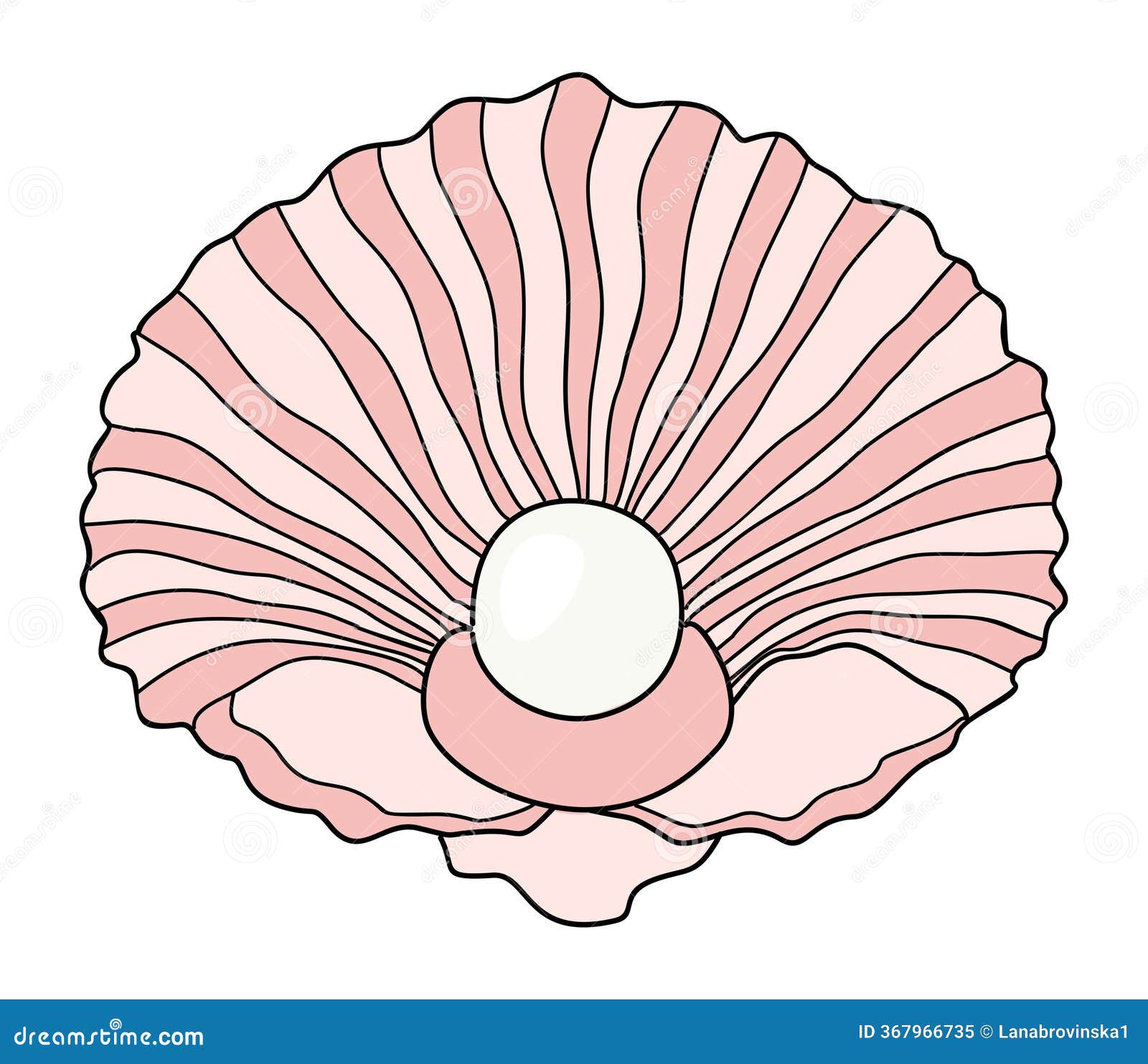 Open Seashell Vector 3d Icon | CartoonDealer.com #363369424