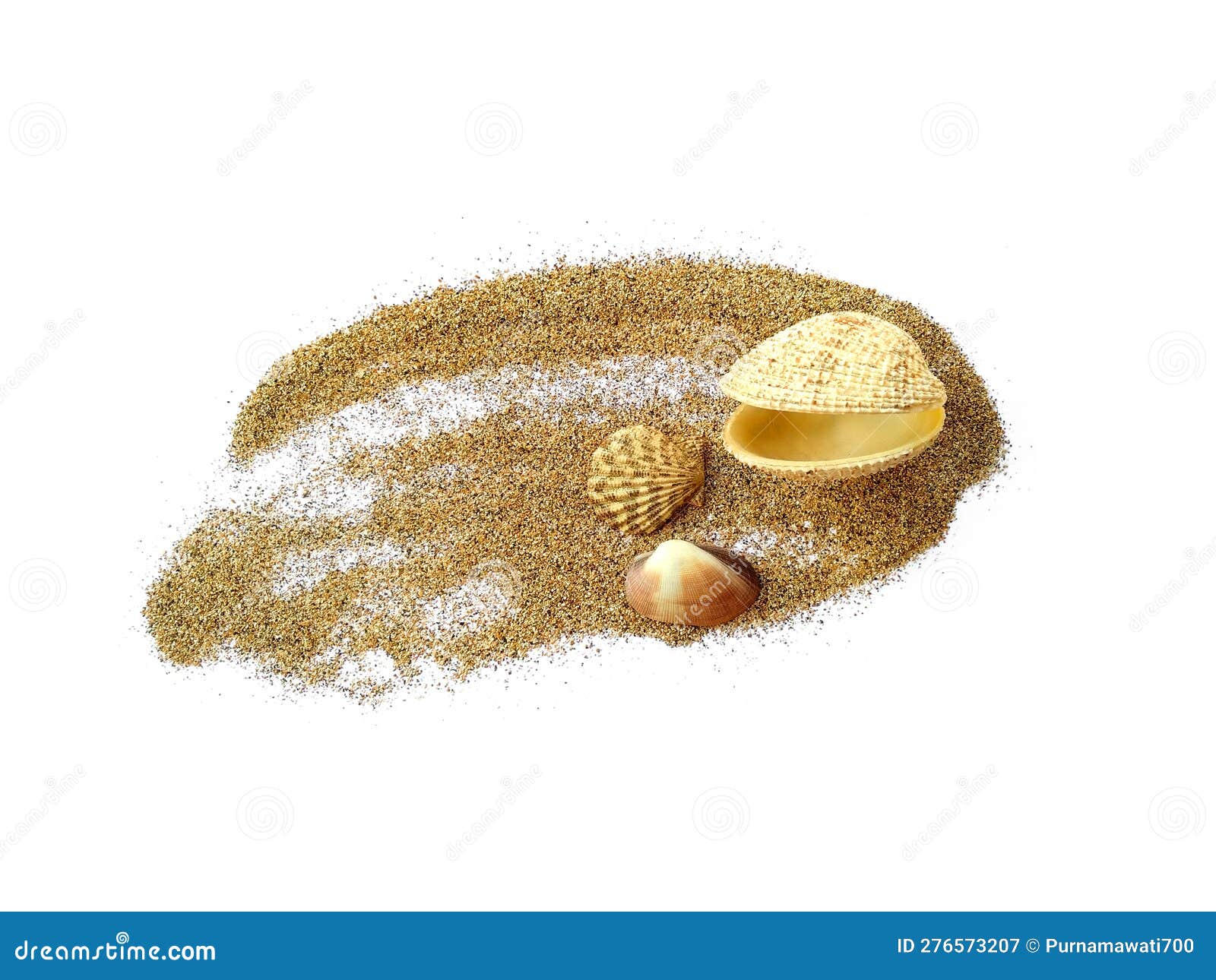 Open Shell with Pearl Isolated on Sand Beach Stock Image - Image of ...