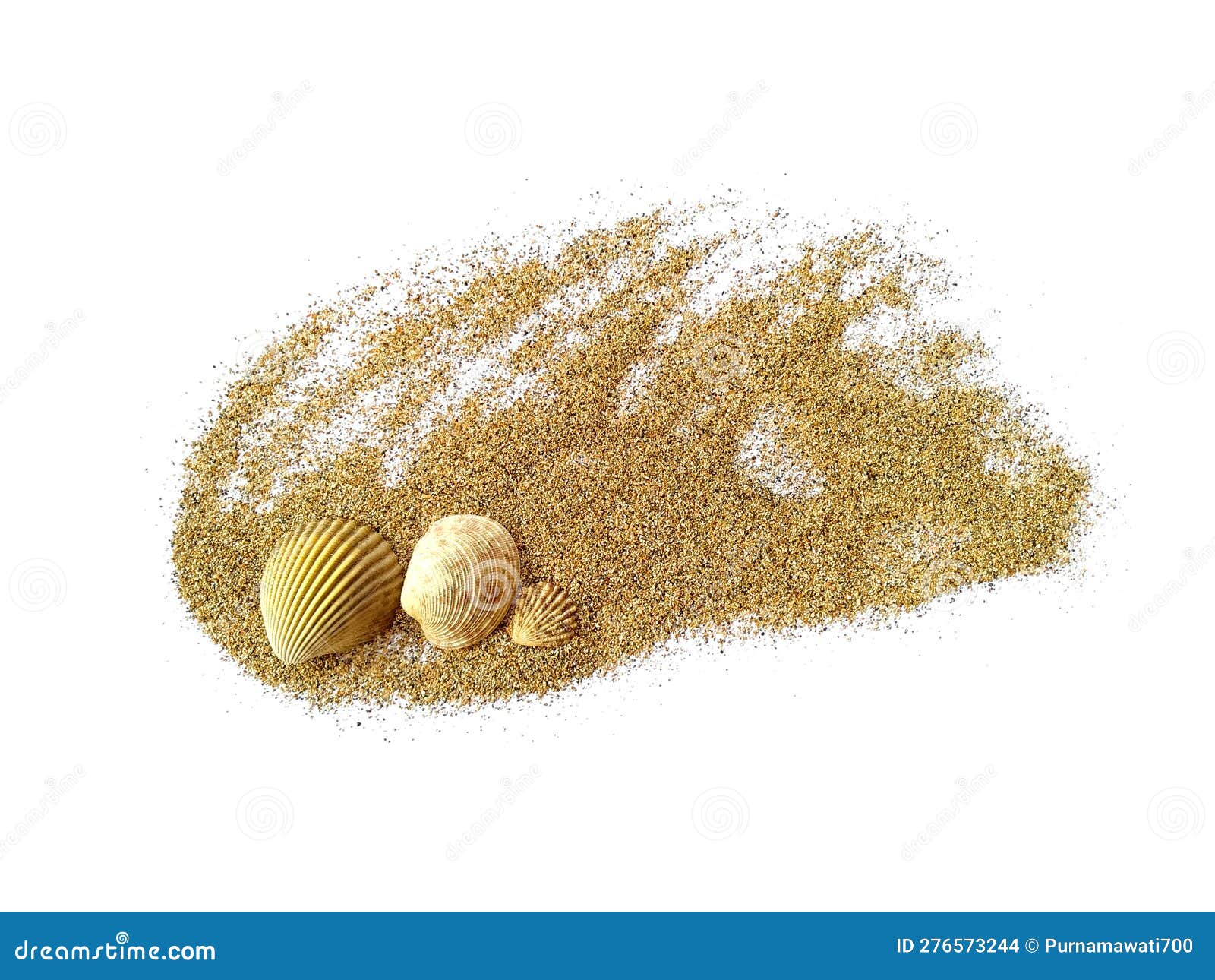Open Shell with Pearl Isolated on Sand Beach Stock Photo - Image of ...