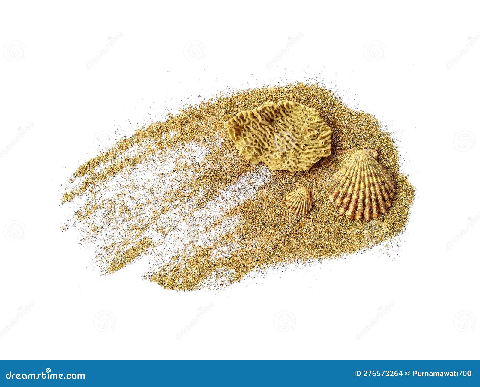 Open Shell with Pearl Isolated on Sand Beach Stock Photo - Image of ...