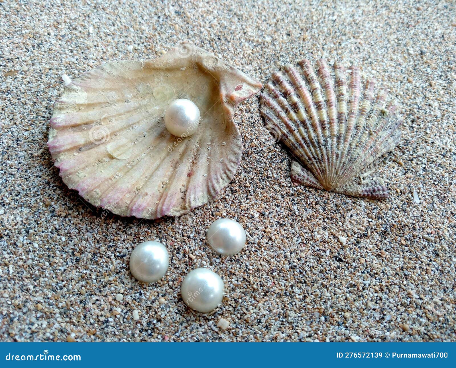 Open Shell with Pearl Isolated on White Background Stock Image - Image ...